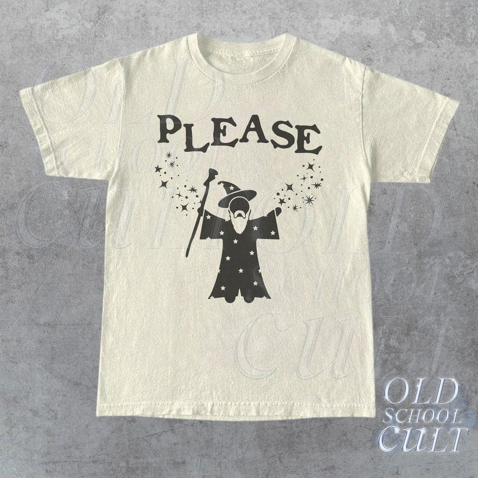 Please Is The Magic Word Wizard Vintage Graphic Tshirt for Men and ...