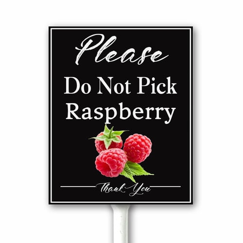 Please Do Not Pick Raspberry Yard Sign with Stake, No Picking Garden ...