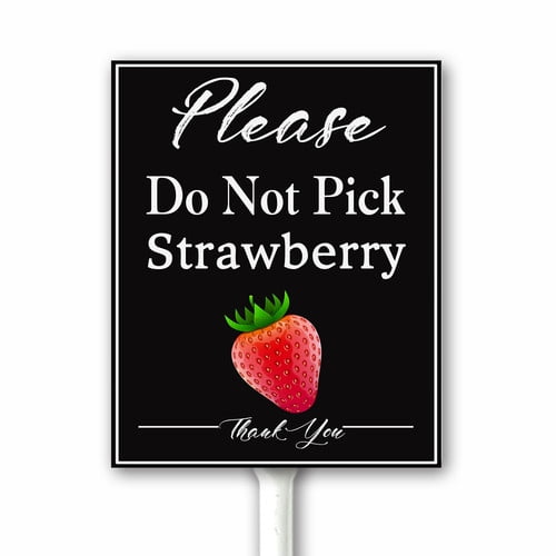 Please Do Not Pick Strawberry Yard Sign with Stake, No Picking Garden ...