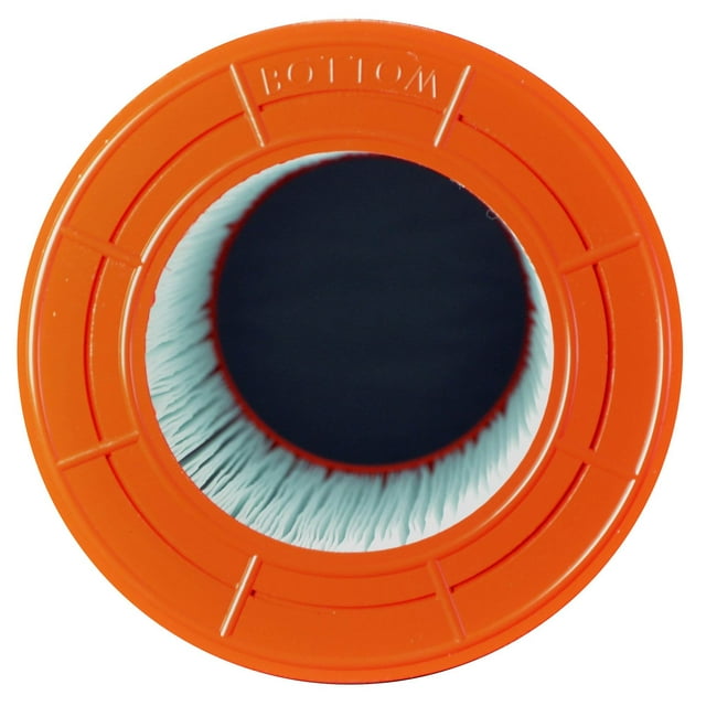 Pleatco Heavy-Duty Spa Filter PAP100-4, Pentair Predator & Clean Clear ...