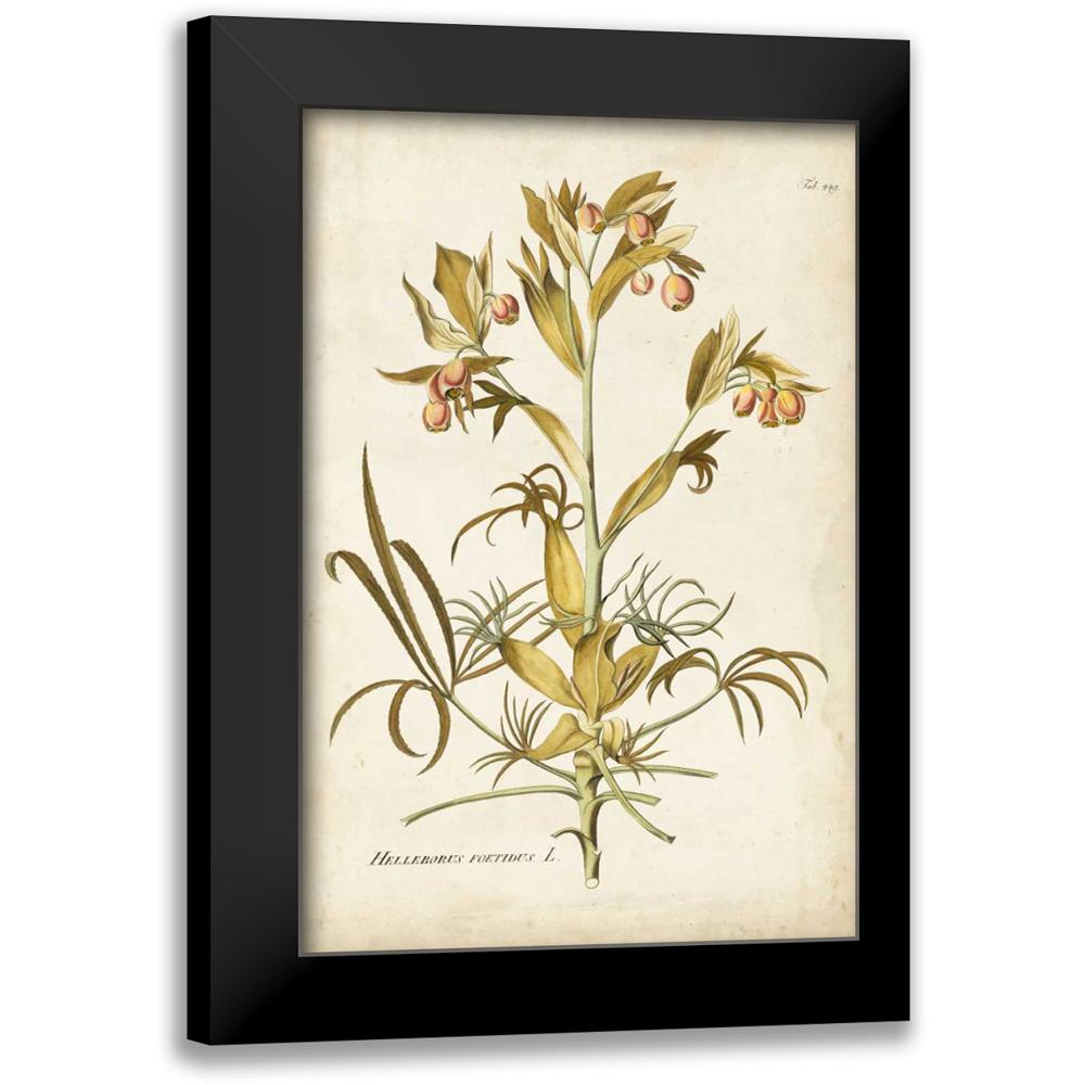 Plenk, J.J. 11x14 Black Modern Framed Museum Art Print Titled - Elegant ...