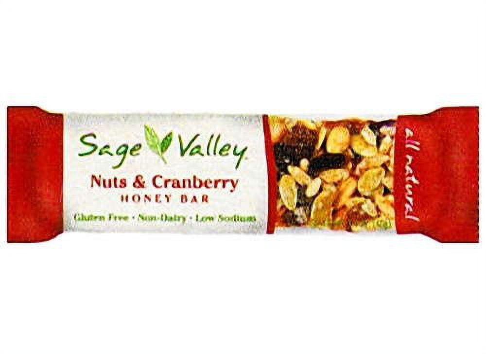 Plentiful Planet Brands Sage Valley Trail Mix Bar, 1.4 oz - Walmart.com