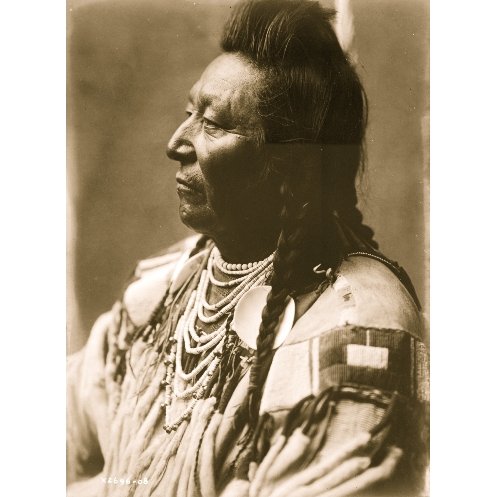 Plenty Coups Poster Print - Walmart.com