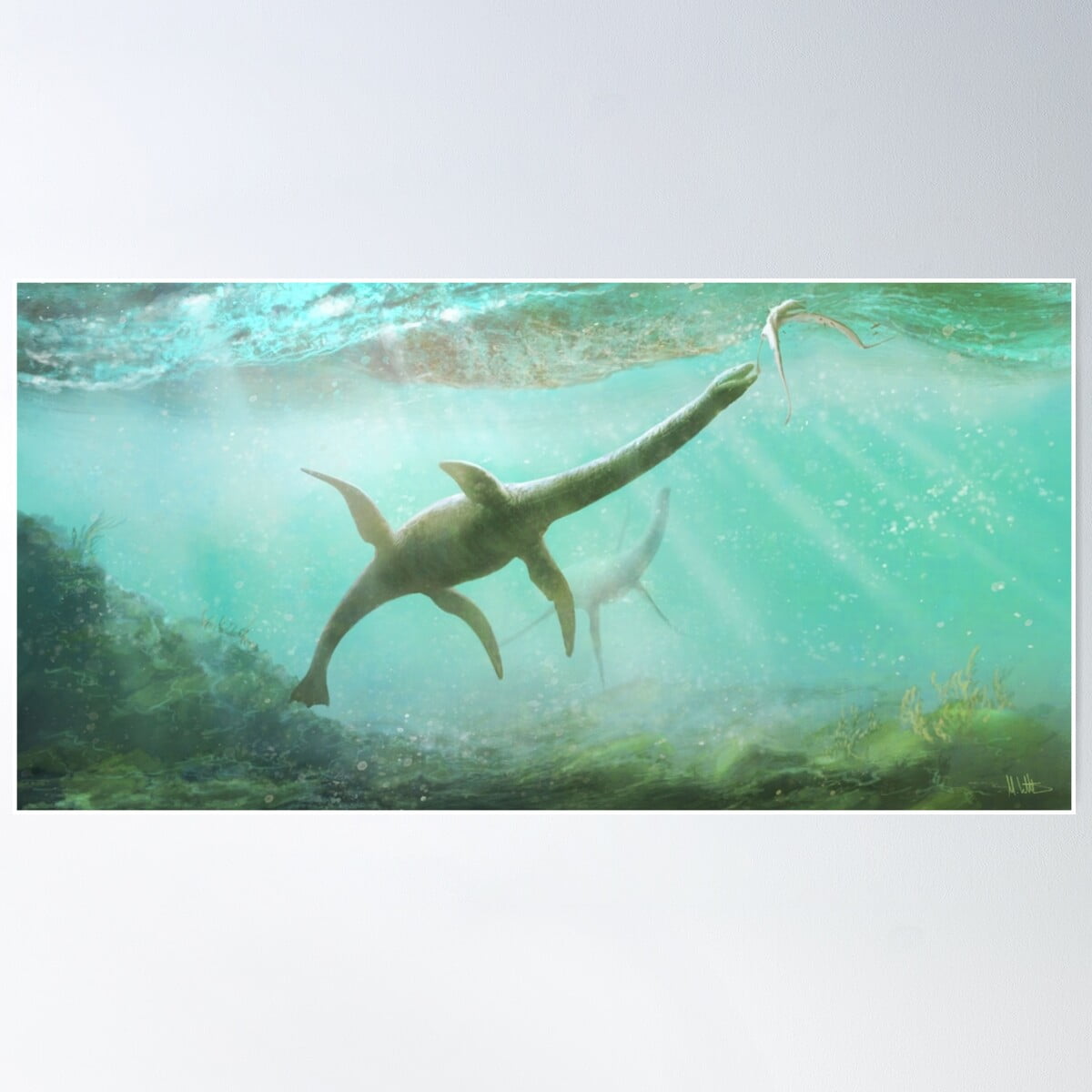 Plesiosaurus Dolcihodeirus Poster Wall Art, Modern Wall Decor For ...