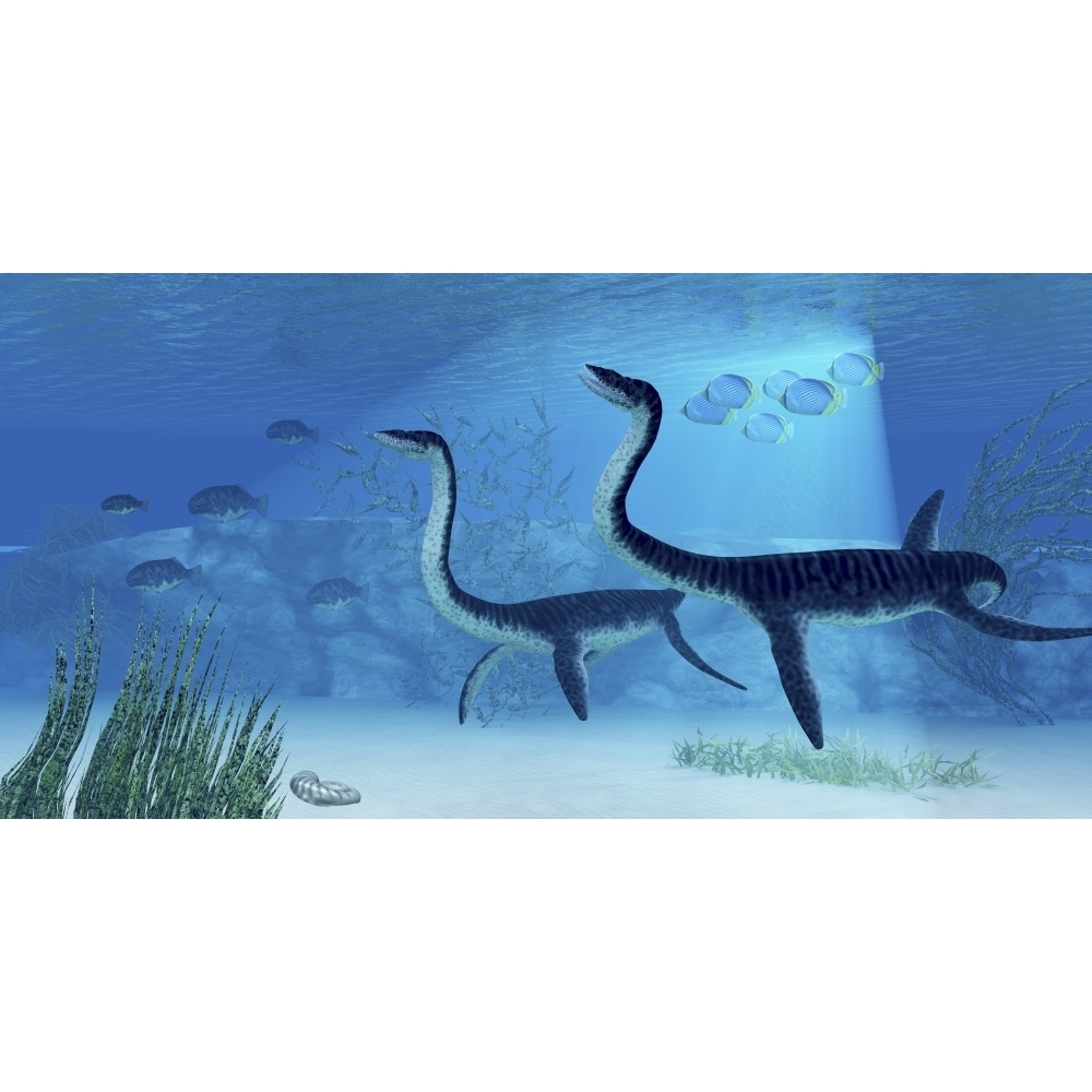 Plesiosaurus dinosaurs swimming the Jurassic seas Poster Print ...