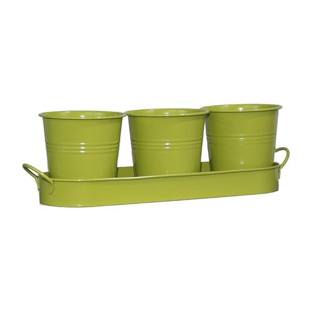 Plexon Herb Planter Indoor Garden Set of 3 with Tray, Ideal for ...