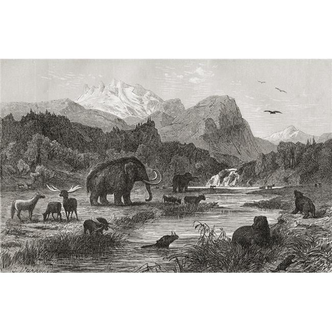 Pliocene Landscape. Print From The 1870s Poster Print - Walmart.com