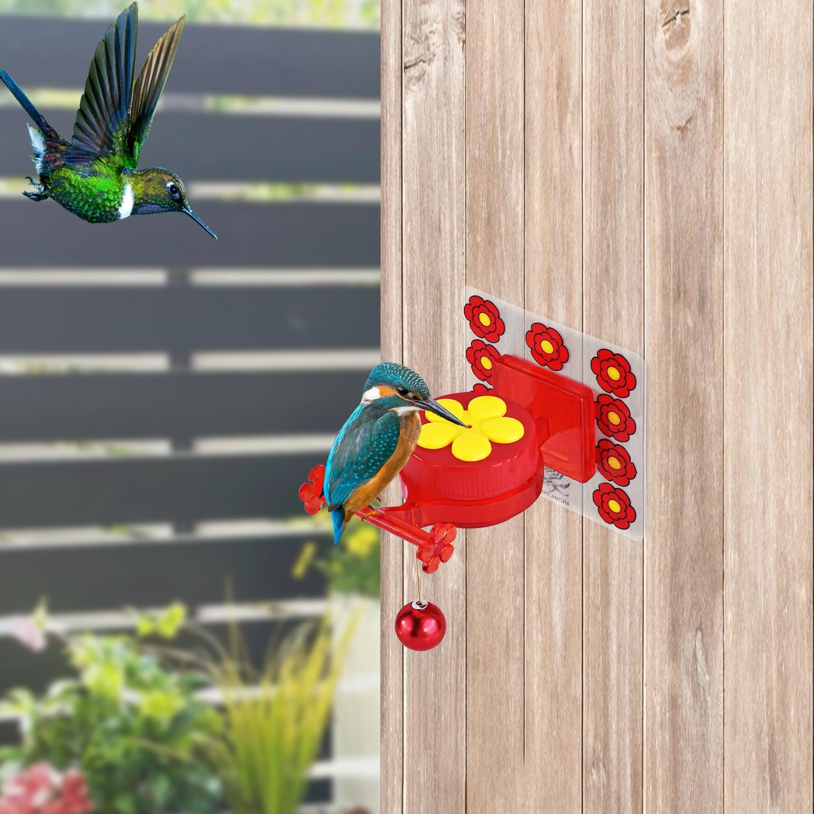 Ploknplq Hummingbird Feeder Bird Hummingbird Feeder New Hummingbird ...