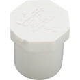Plug, Lasco, 1/2" Spigot - Walmart.com