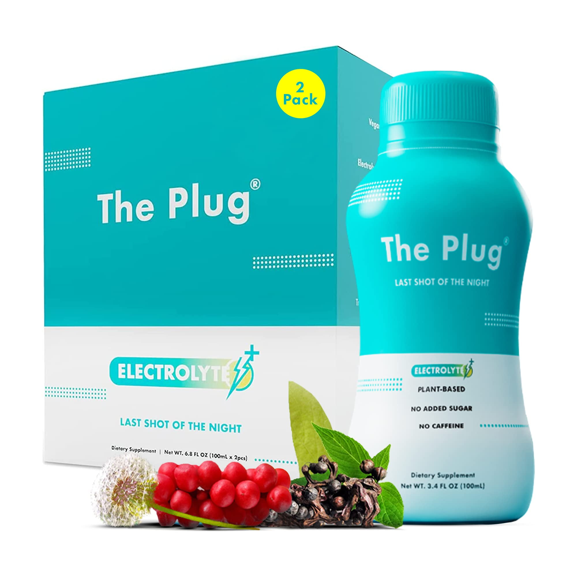 The Plug Liver Cleanse Detox & Repair Drink, 2-Pack - All-Natural Plant ...