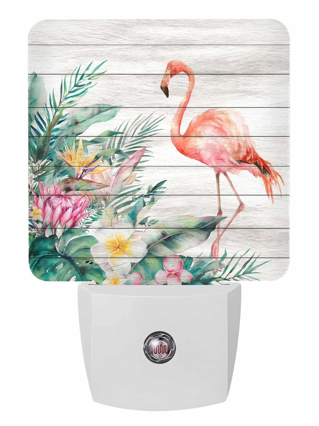 Plug-in Night Light,Watercolor Flamingo Bird Flower Wall LED Lamp with ...