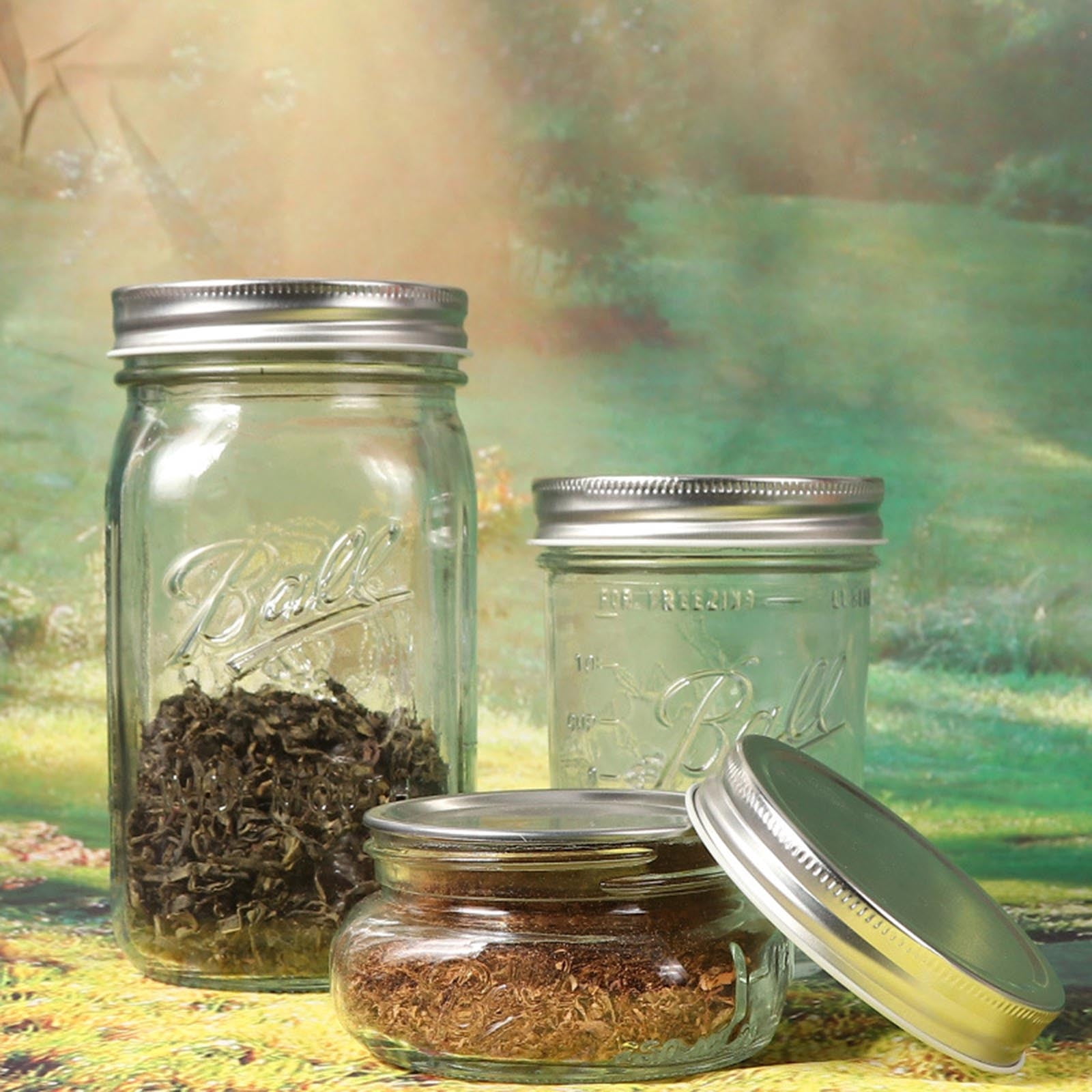 Plum Carved Glass Jars with Sealed Lids 1000ml, Wide Mouth Jar Set with ...