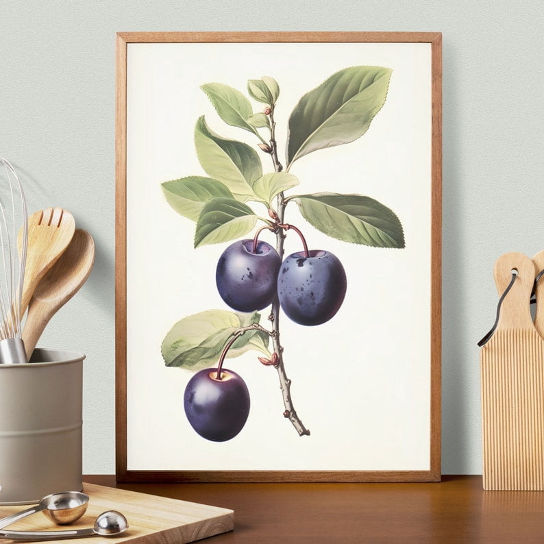 Plum Print, Fruit Print, Flower Print, Botanical Fruits, Plum Branch ...