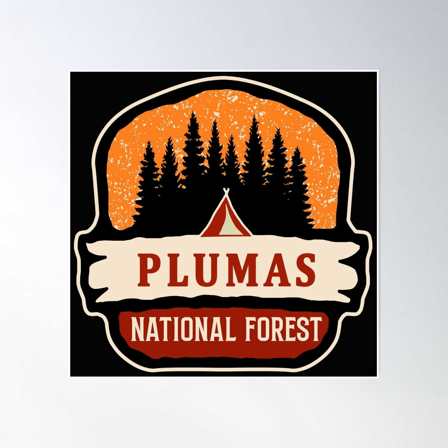 Plumas National Forest Poster Wall Art, Modern Wall Decor, 24x24 ...