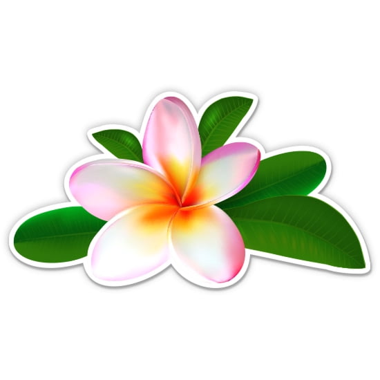 Plumeria Pretty Pink Flower - 8" Vinyl Sticker - For Car Laptop I-Pad ...
