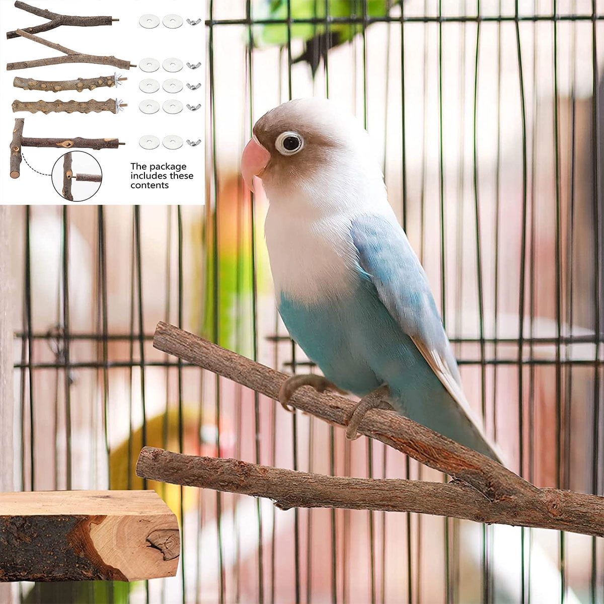 Fznkrag 5 Pack Parrot Bird Perches Natural Wood Bird Standing Stick ...