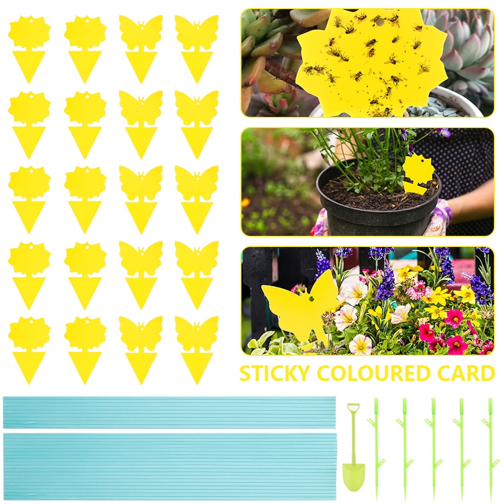 Pluokvzr 56Pcs Sticky Trap Fruit Fly Pest Insect Trap Catchers Yellow ...