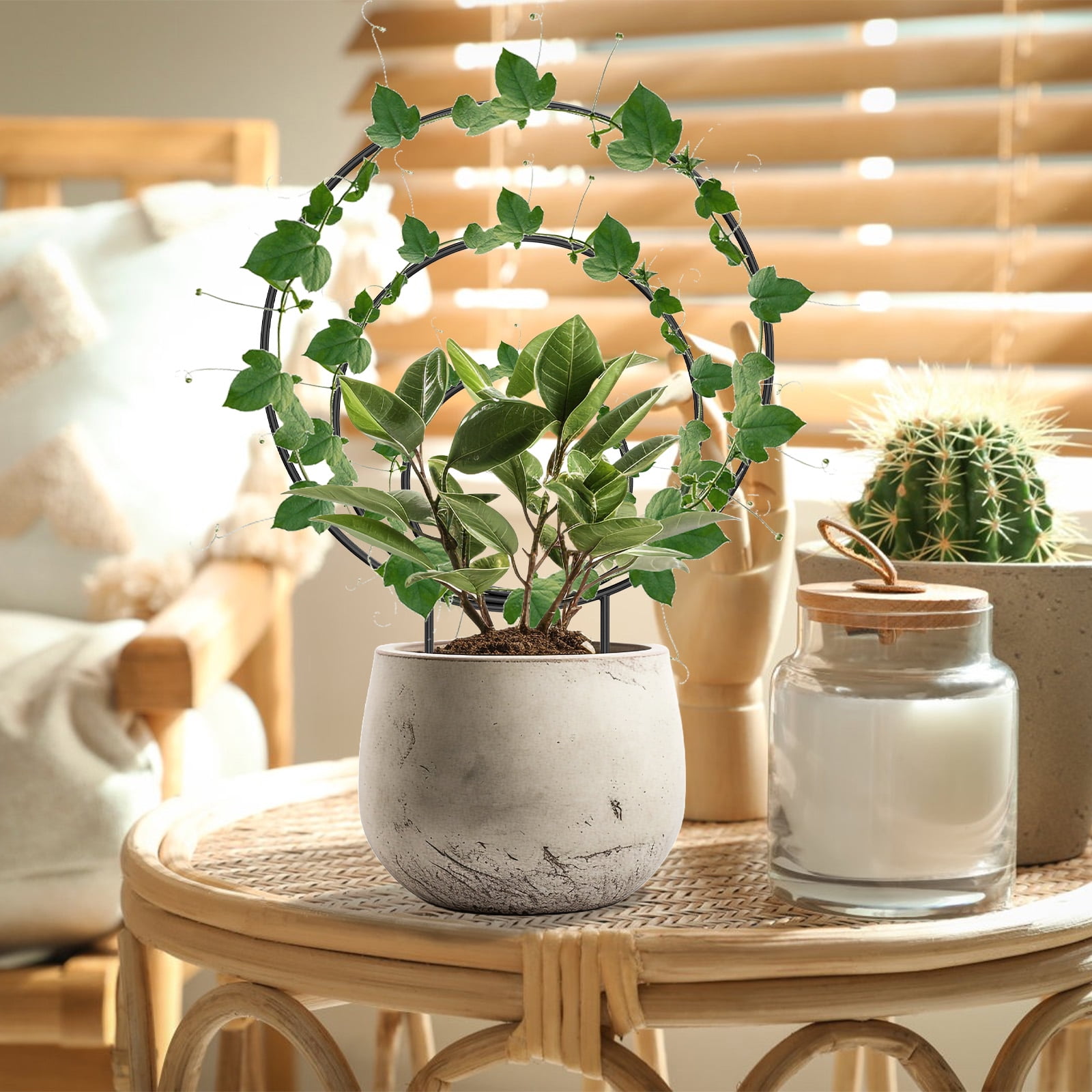 Pluokvzr 6pcs Metal Hoya Trellis for Indoor Outdoor Anti Deformation ...