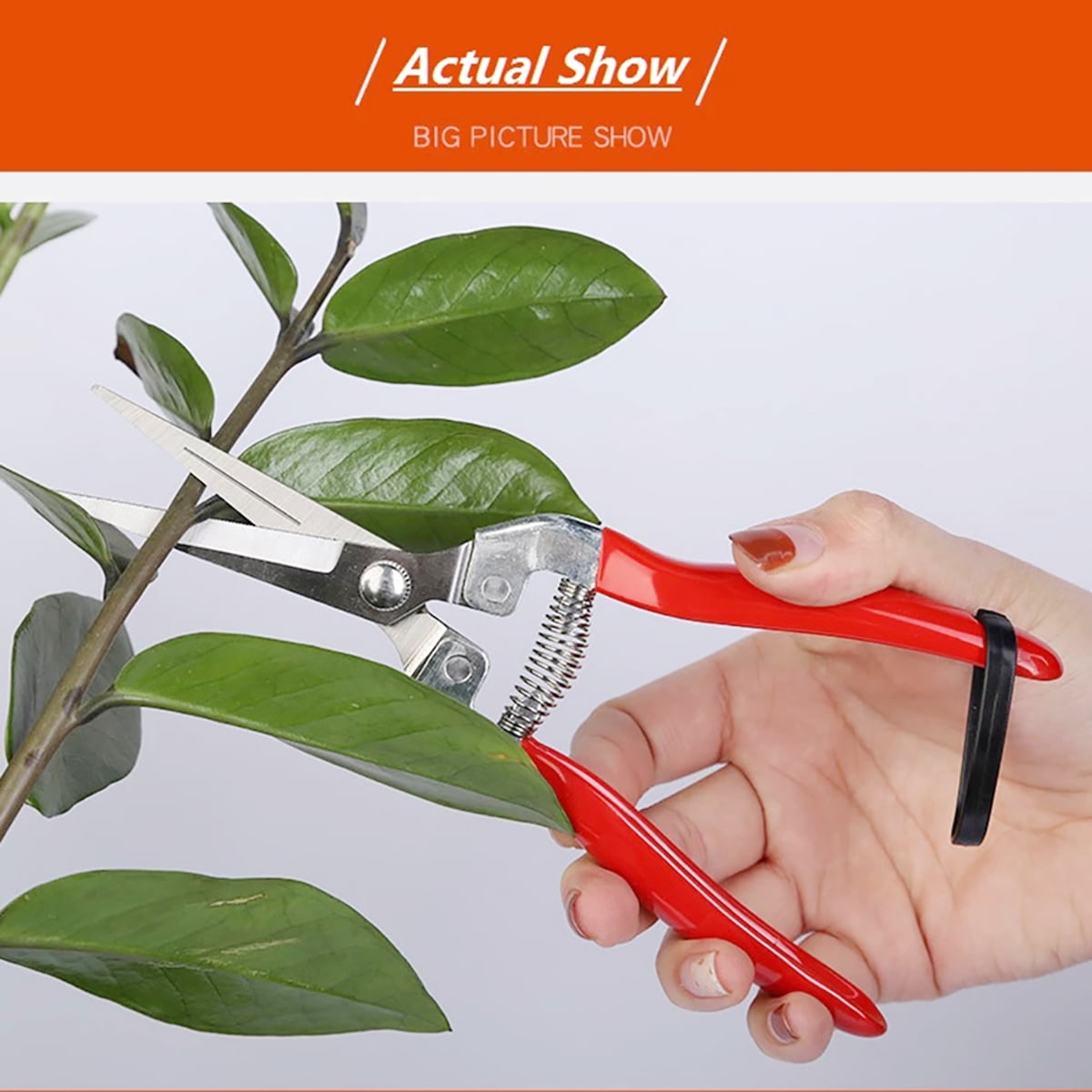 Tzgsonp Gardening Straight Scissors Stainless Steel Garden Pruning ...