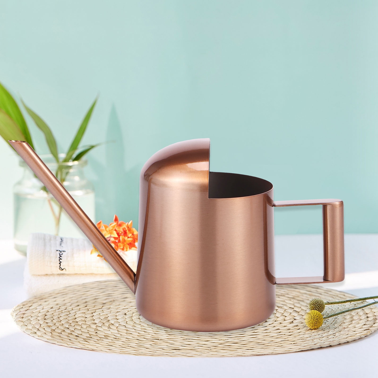Pluokvzr Mini Watering Can for Indoor Plants 300ml Stainless Steel ...