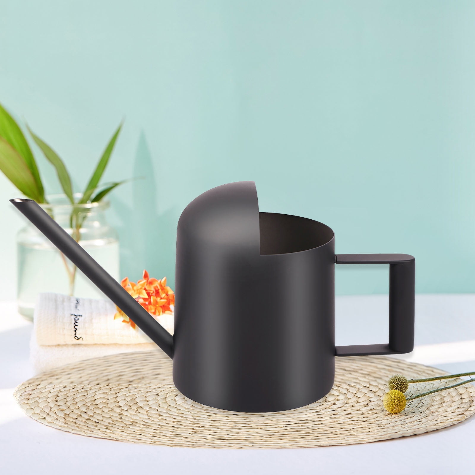 Pluokvzr Mini Watering Can for Indoor Plants 300ml Stainless Steel ...