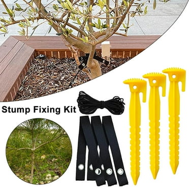 Ludlz Plant Frame Large Tree Growing Support Stakes Tripod Plastic Cups ...