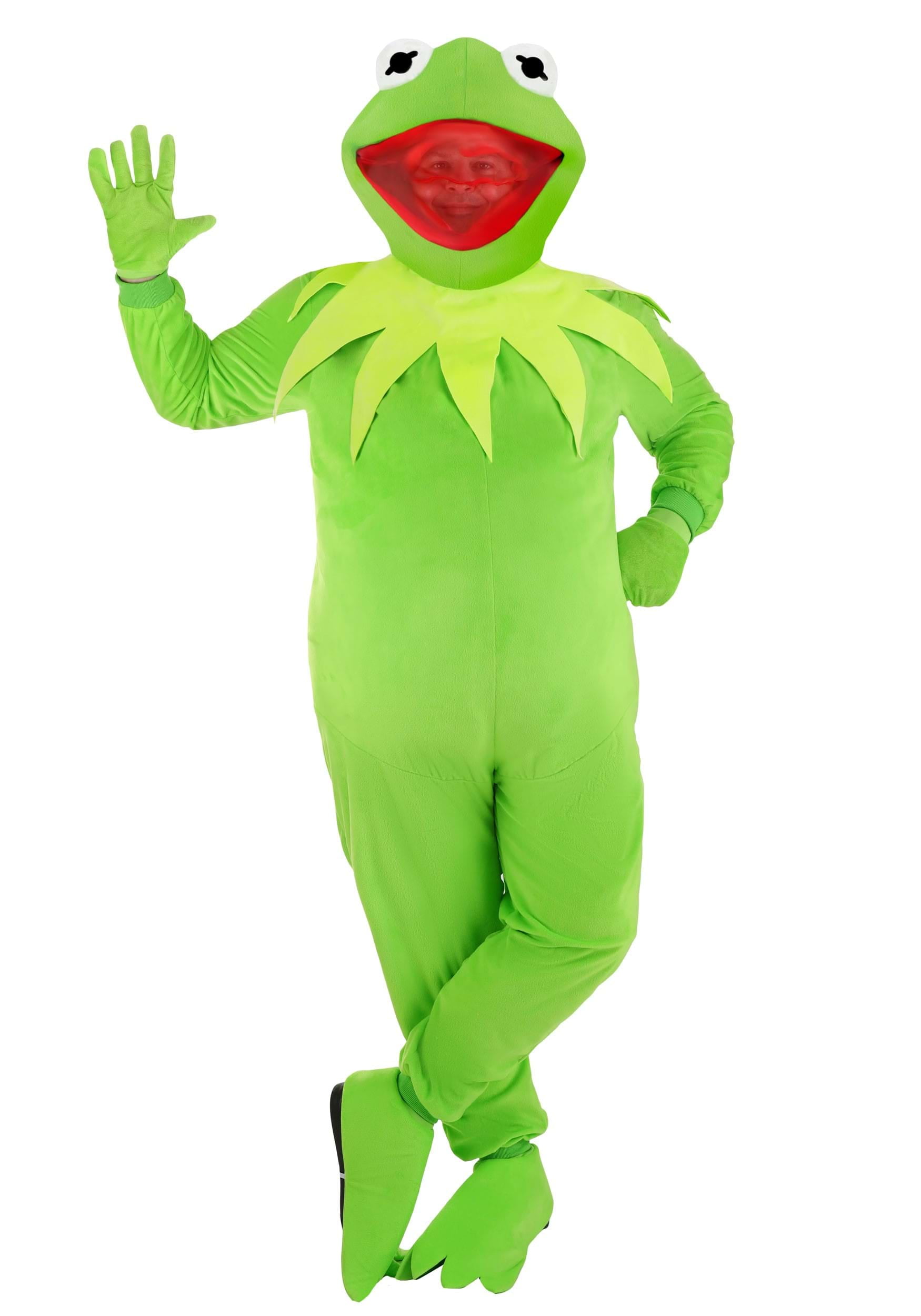 Plus Size Disney Kermit Costume - Walmart.com