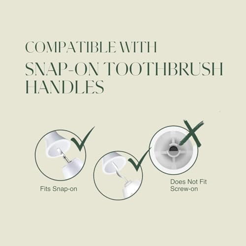 Plus Ultra Eco Friendly Toothbrush Replacement Heads 4 Pack | Designed ...