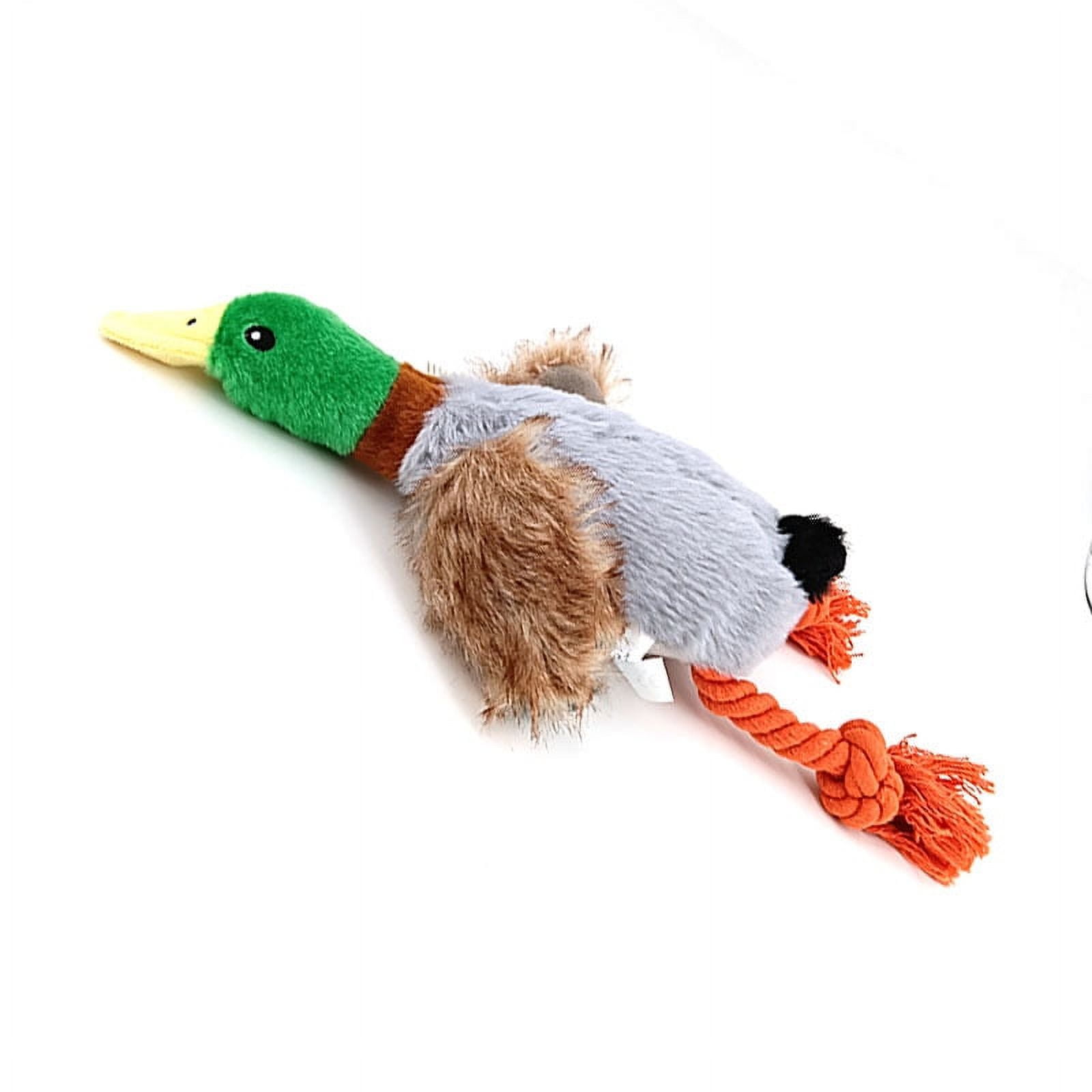 Plush Duck Sound Toy for Teething Dogs - Provides Hours of Fun and ...
