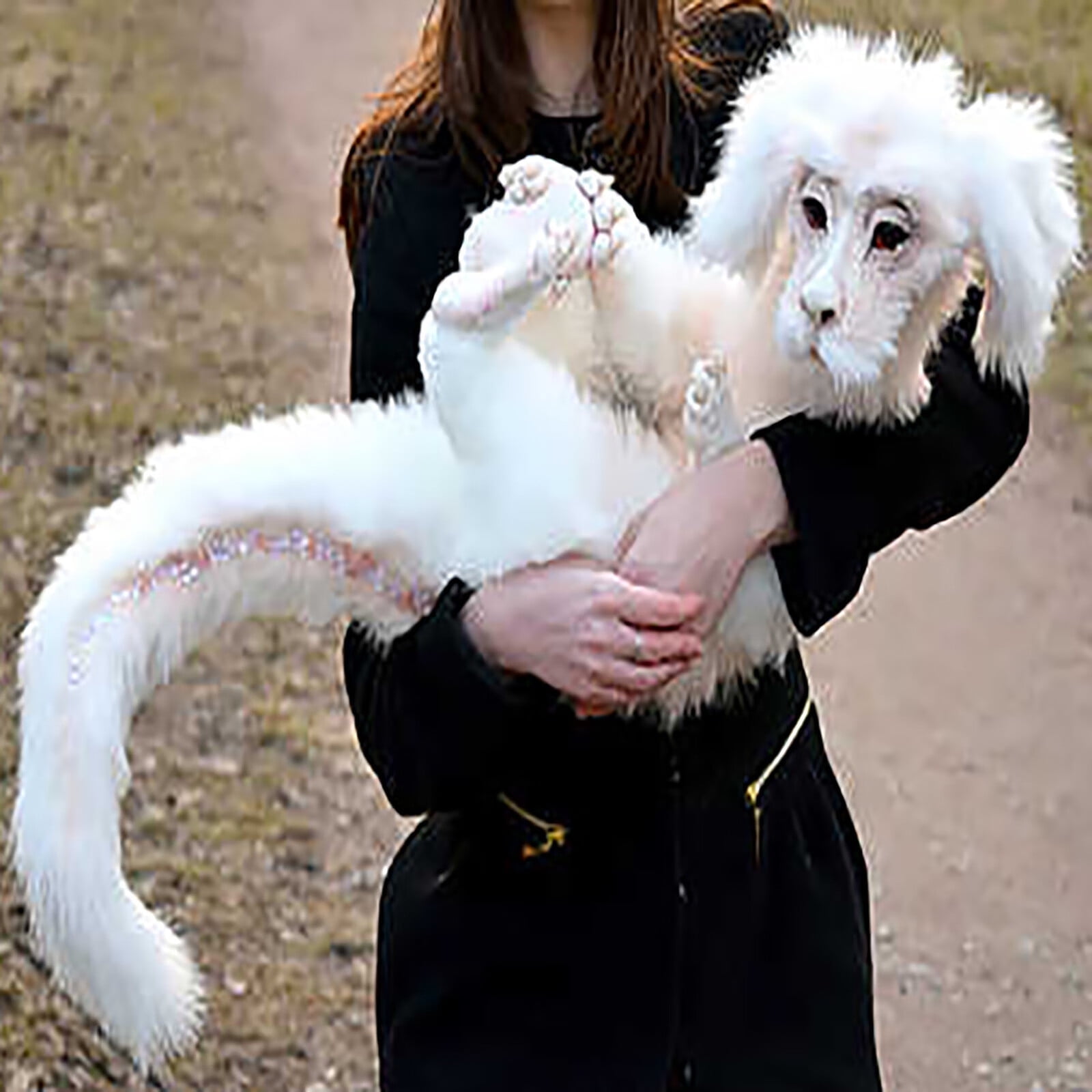 Plush Neverending Falkor Dragon Doll. Story Luck Doll. Cute Dragon ...