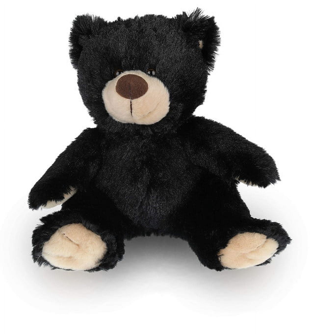 Plushland Adorable Noah Teddy Bear for Kids 12 Inches Plush Stuffed ...