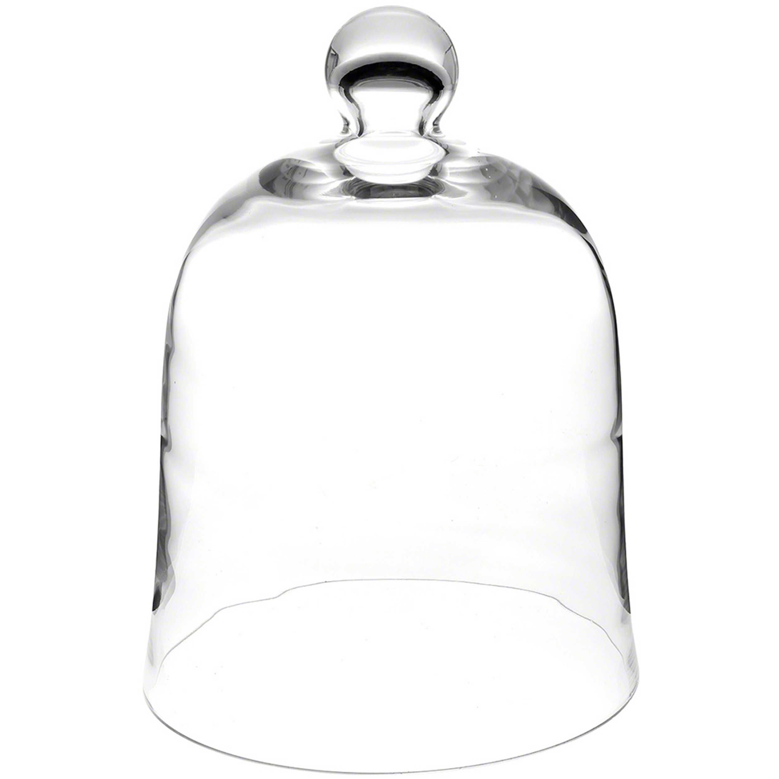 Plymor 10" x 13" Bell Jar Glass Display Dome Cloche (Interior size 9.5 ...