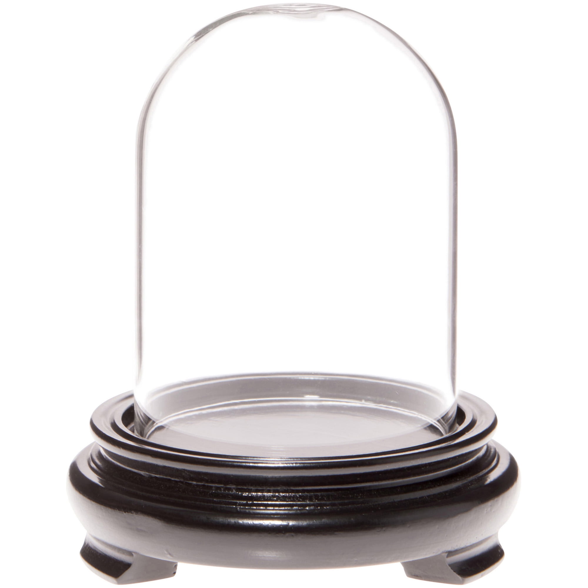 Plymor 2.5" x 3.5" Glass Display Dome Cloche (Black Wood Veneer Footed ...