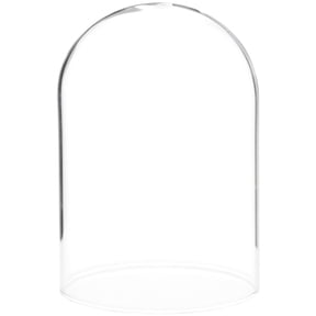 Glass Dome Display