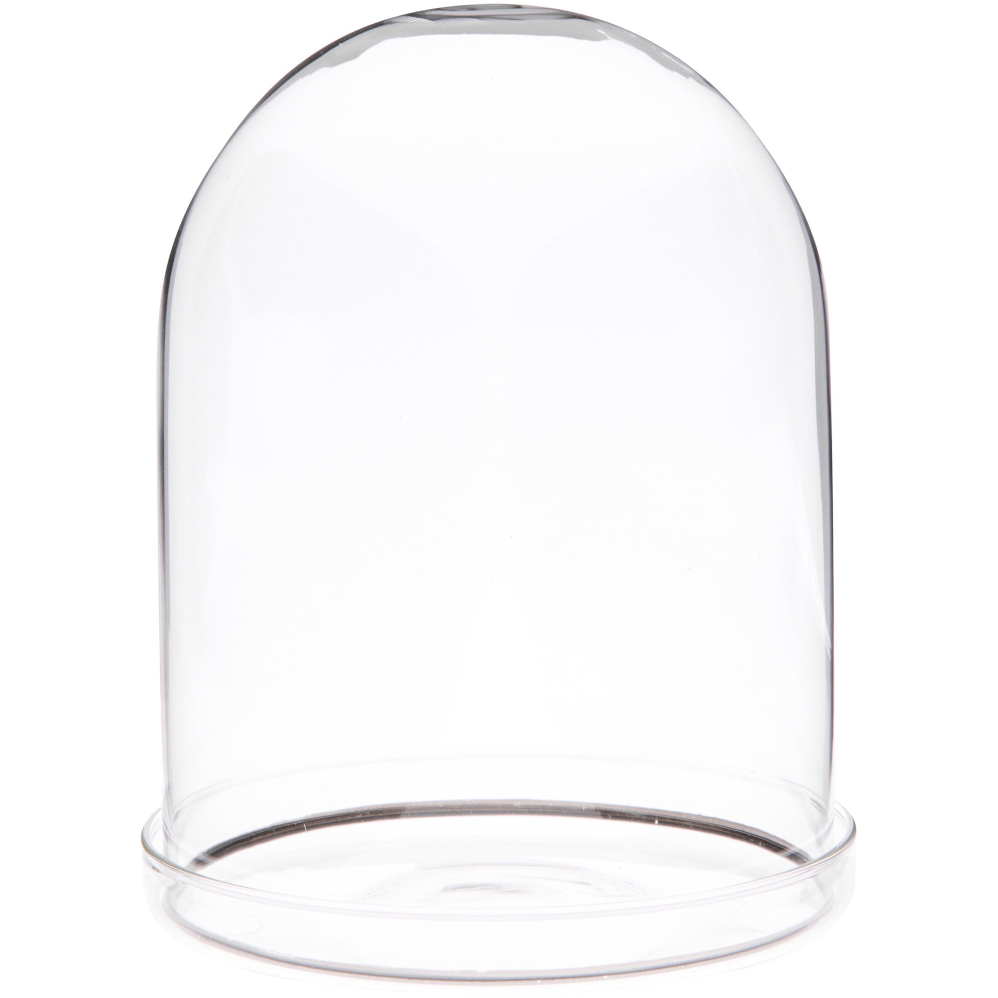 Plymor 4.5" x 6" Glass Display Dome Cloche with Silver Rim (Clear Glass ...
