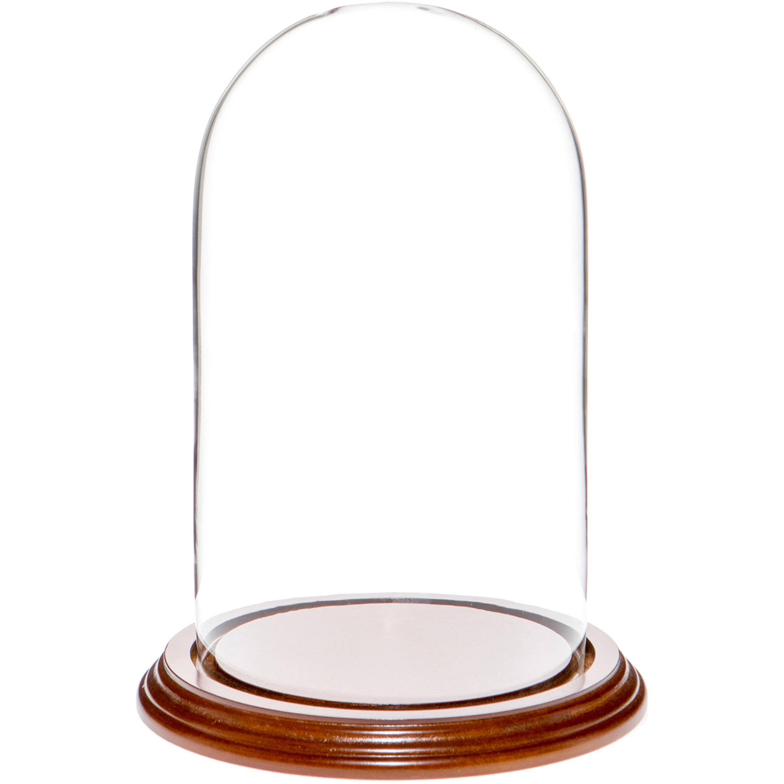 Plymor 4.5" x 8" Glass Display Dome Cloche (Walnut Veneer Base ...
