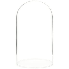 Glass Dome Display