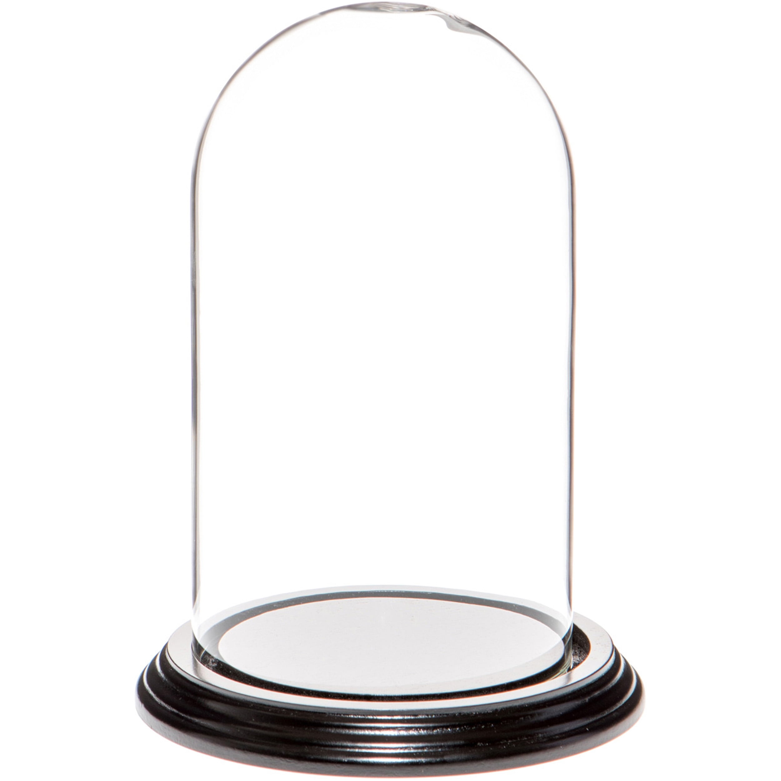 Plymor 4" x 7" Small Glass Display Dome Cloche (Black Wood Veneer Base ...