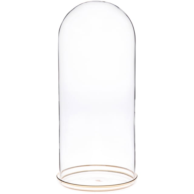 Plymor 5.5" x 13" Glass Display Dome Cloche with Gold Rim (Gold Rim ...