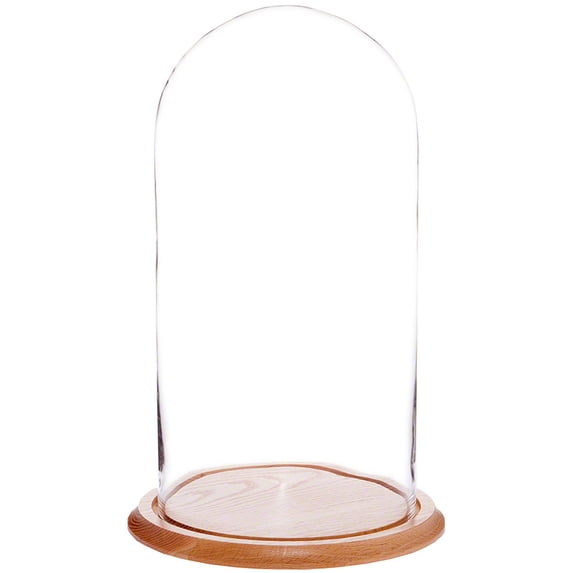 Plymor 9.75" x 20" Glass Display Dome Cloche (Oak Wood Base) - Walmart.com