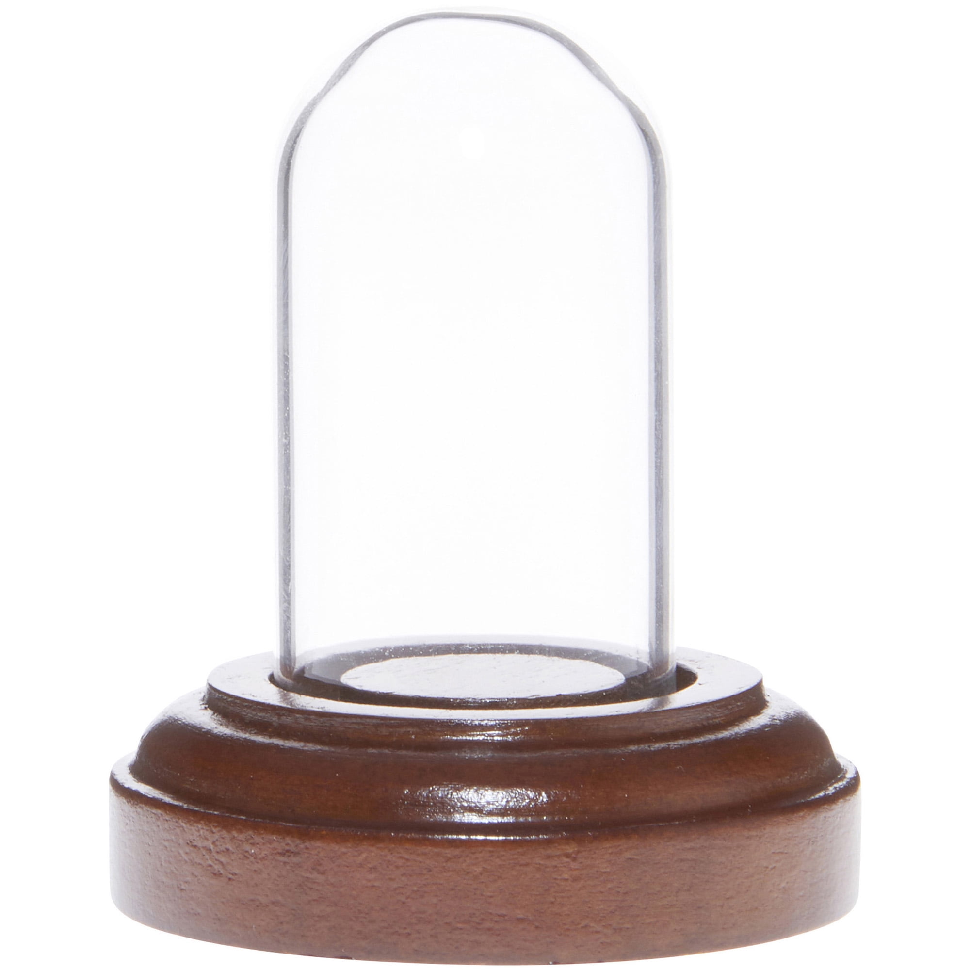 Plymor Miniature 1" x 2" Mini Glass Display Dome TINY Cloche (Walnut ...