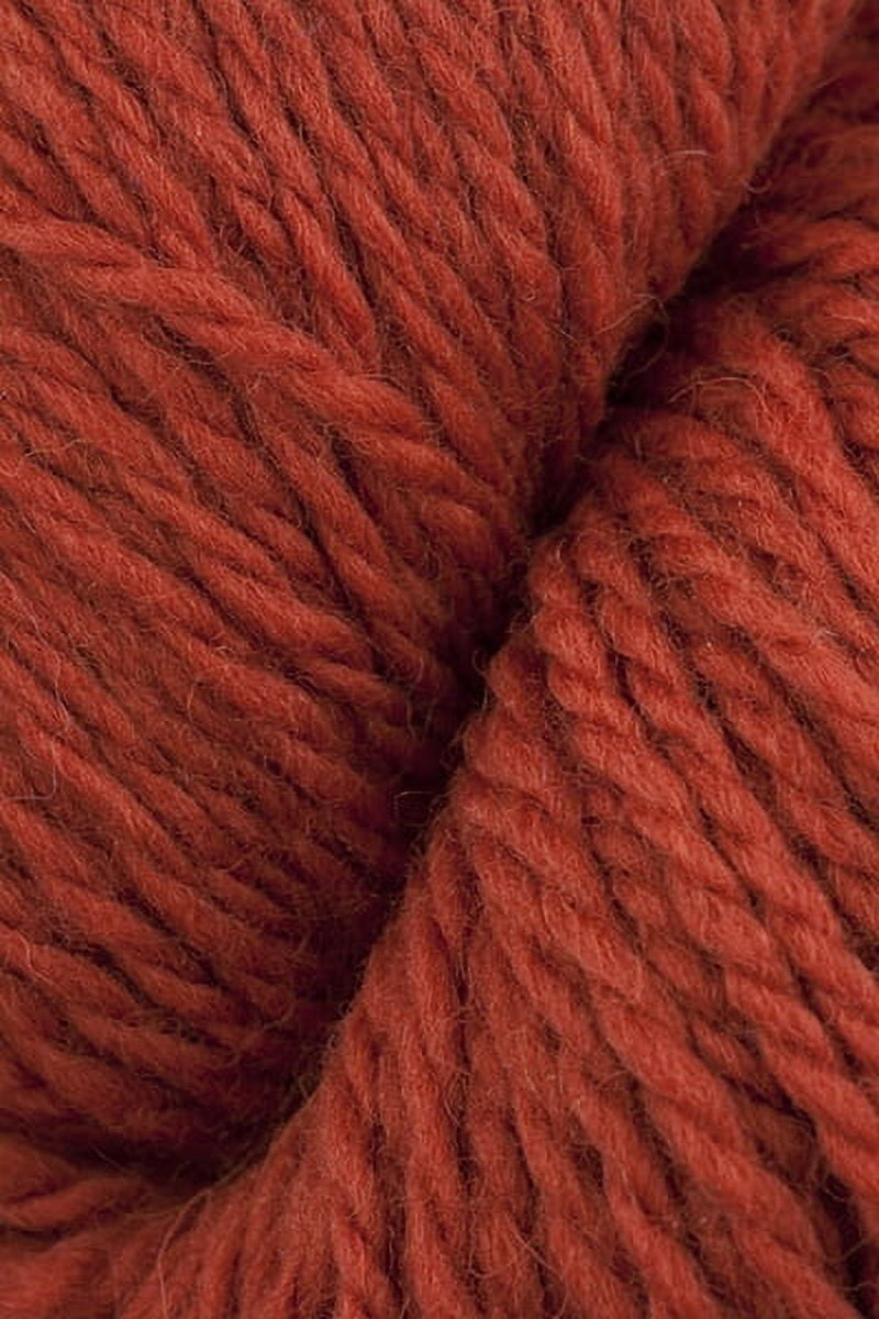 Plymouth - Homestead Knitting Yarn - Burnt Orange (# 22) - Walmart.com