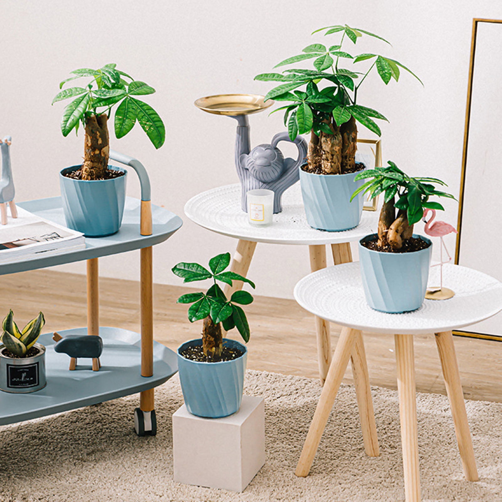 Pnellth 3Pcs Colorful Plastic Plant Pots with Drainage Hole Removable ...