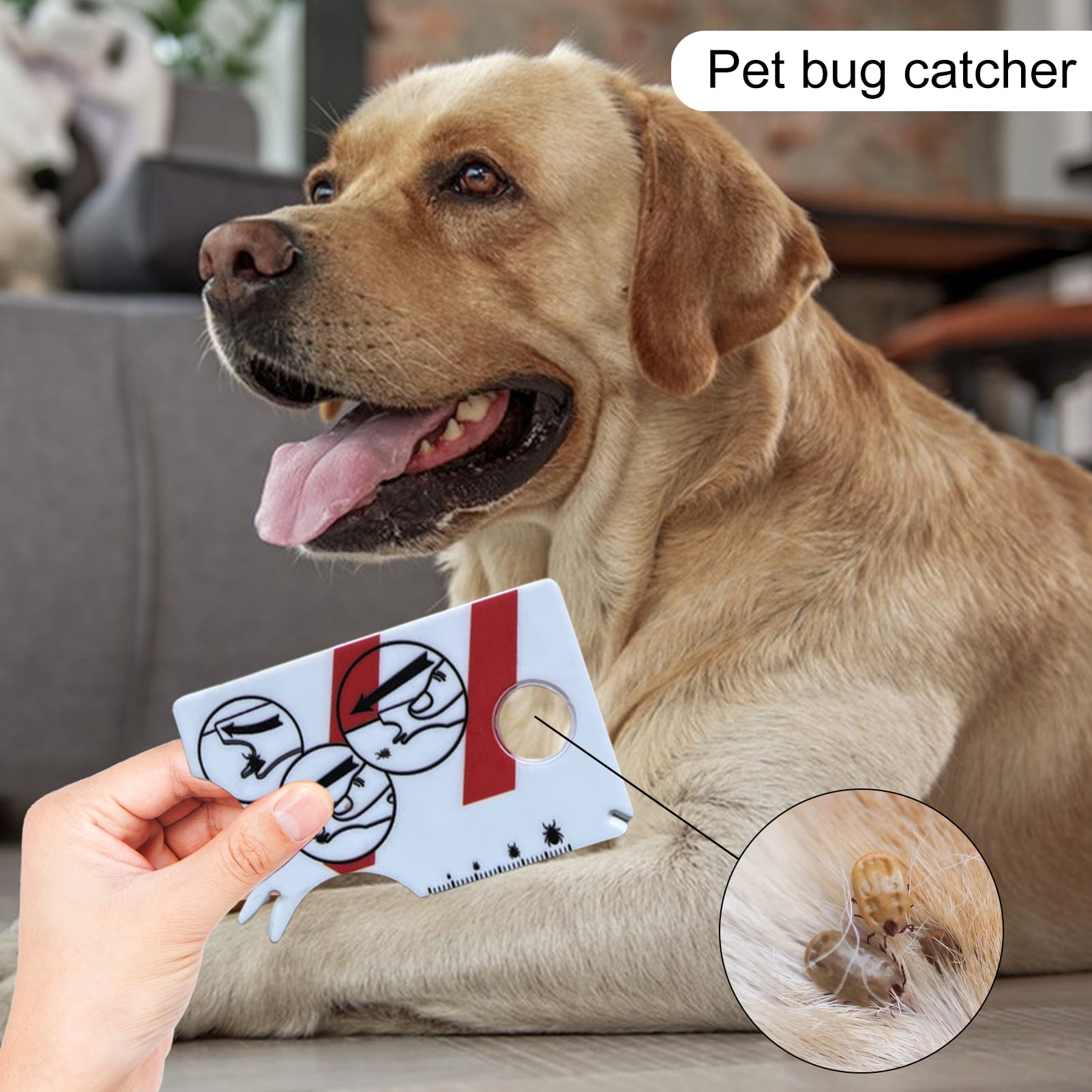 Pnellth 4Pcs Tick Catcher Durable Effective Tick Removal Tool with ...