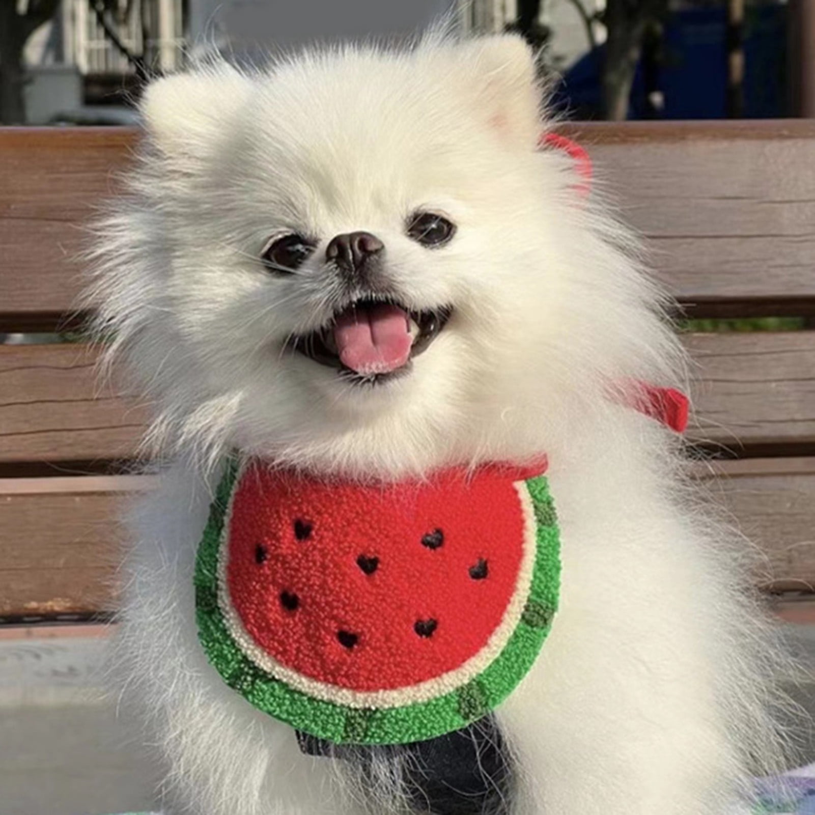 Pnellth Pet Bib Adjustable Soft Convenient Cats Bib Watermelon Shape ...