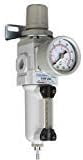 PneumaticPlus SAW200-N02BG-MEP Miniature Compressed Air Filter ...