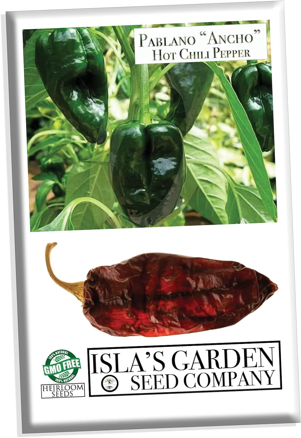Poblano "Ancho" Hot Chile Pepper Seeds for Planting, 50+ Heirloom Seeds ...