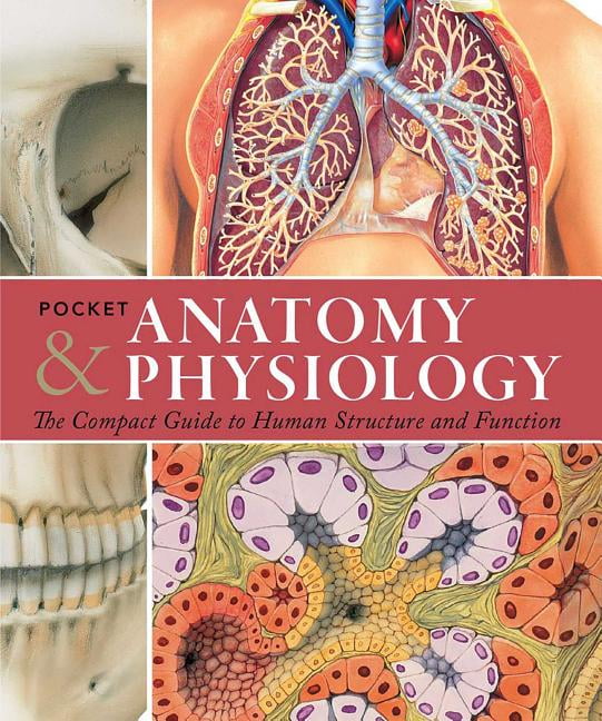 Pocket Anatomy & Physiology : The Compact Guide to the Human Body and ...