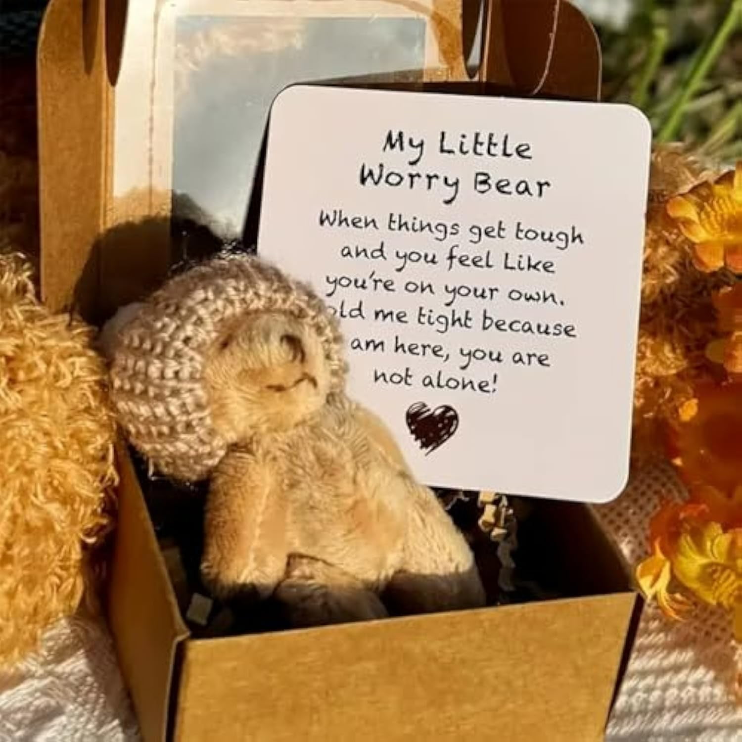 Pocket Bear, Adorable Reassuring Pocket Teddy Bear with Inspirational ...