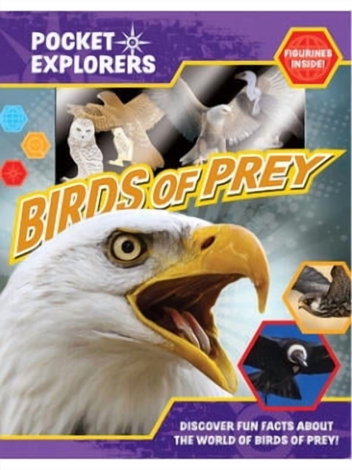 Pocket Explorer: Birds of Prey Pocket Explorers (Other) - Walmart.com